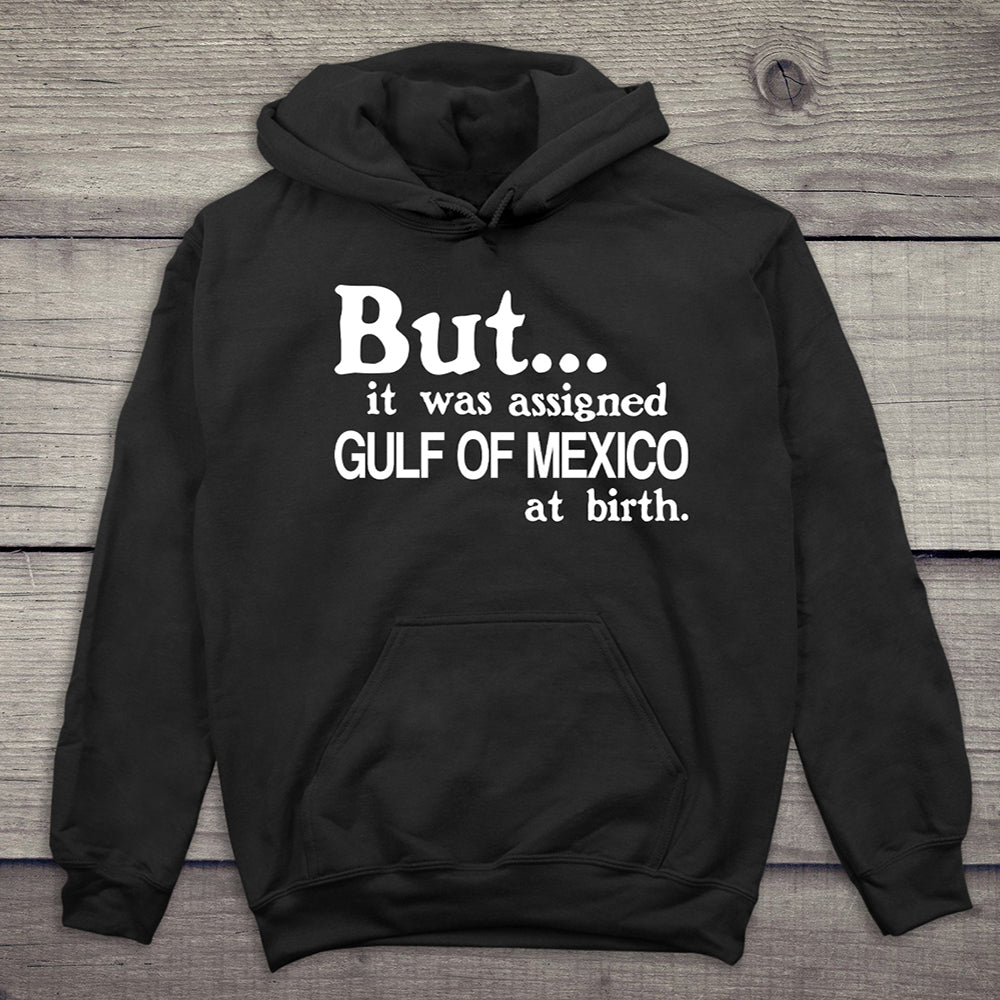 Assigned Gulf Of America Hoodie – Artopia.com